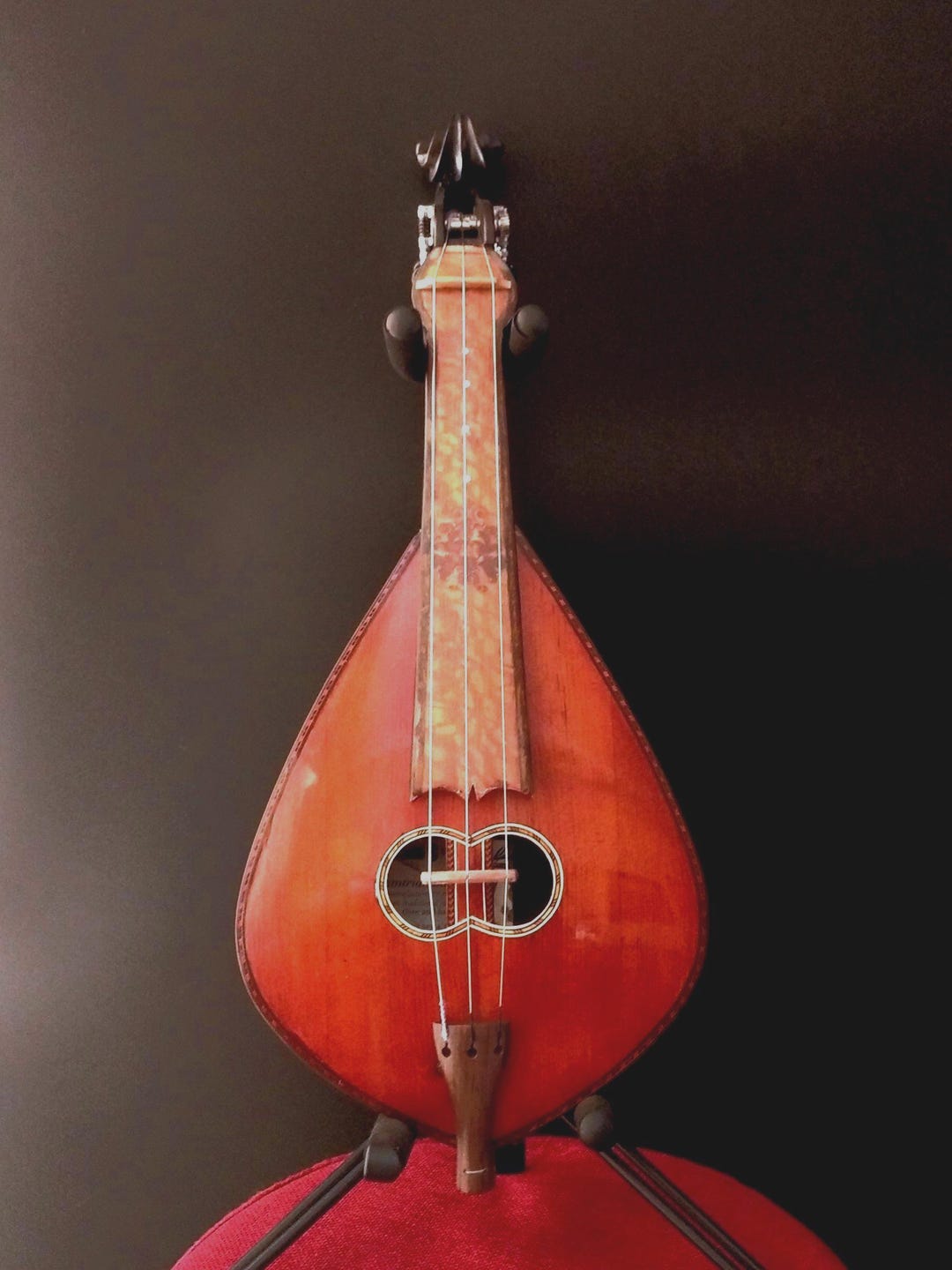 IN STOCK Handmade Cretan Lyra Professional Model|greek Traditional ...