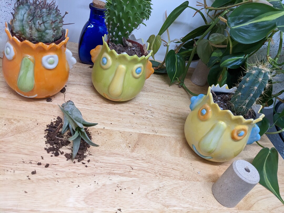 Indoor Face Plant Pot Colorful Character Planter Pots for Succulents or ...