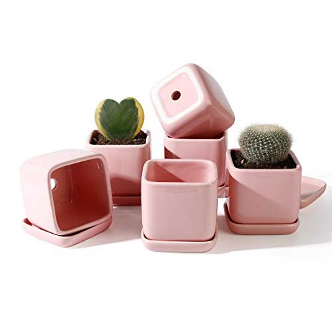Pink Plant Pots Square Pink Planter Pots Great for Succulents Small ...