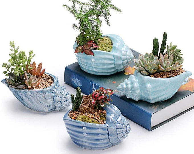 Dolphin Planter, Dolphin Flowerpots, Ocean Home Decor, Animal Lover ...