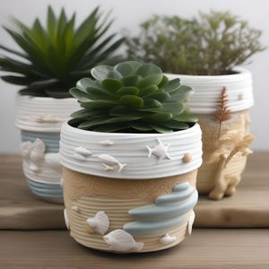 Beach Ocean Theme Air Plant Pots Air Plant Beachy Container Pot Display ...