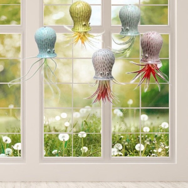 Air Plant Holders - Etsy