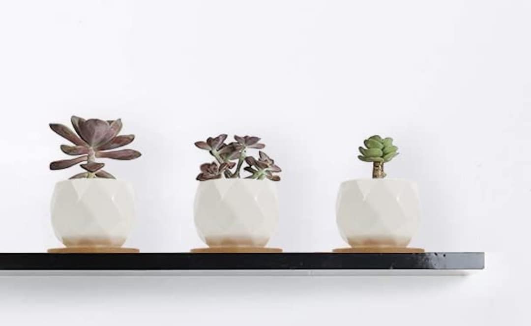 Ceramic Diamond Pattern Planters Pots With Bamboo Tray, Small Succulent ...