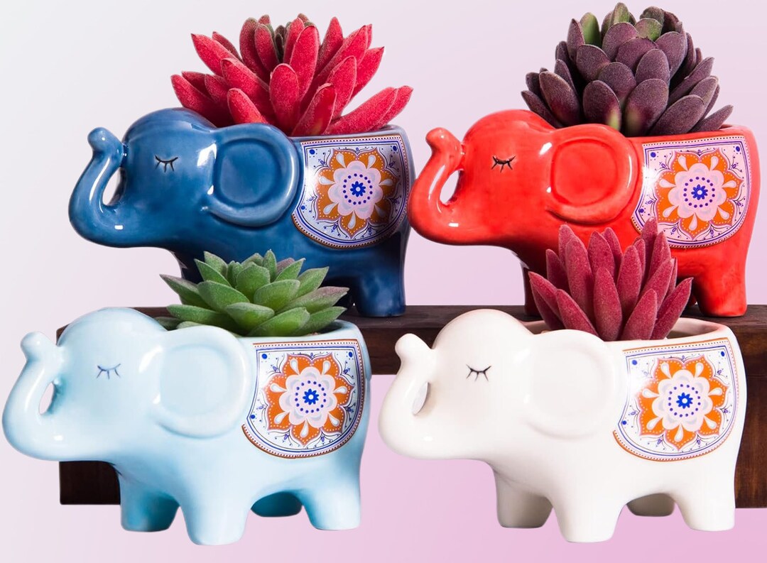 Elephant Indoor Plant Pot for Succulent Elephant Cactus or Crafts Makes ...