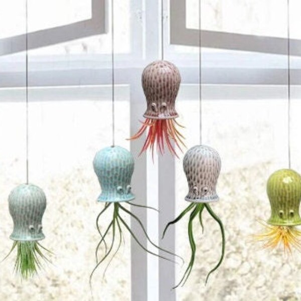 Octopus Decor - Etsy