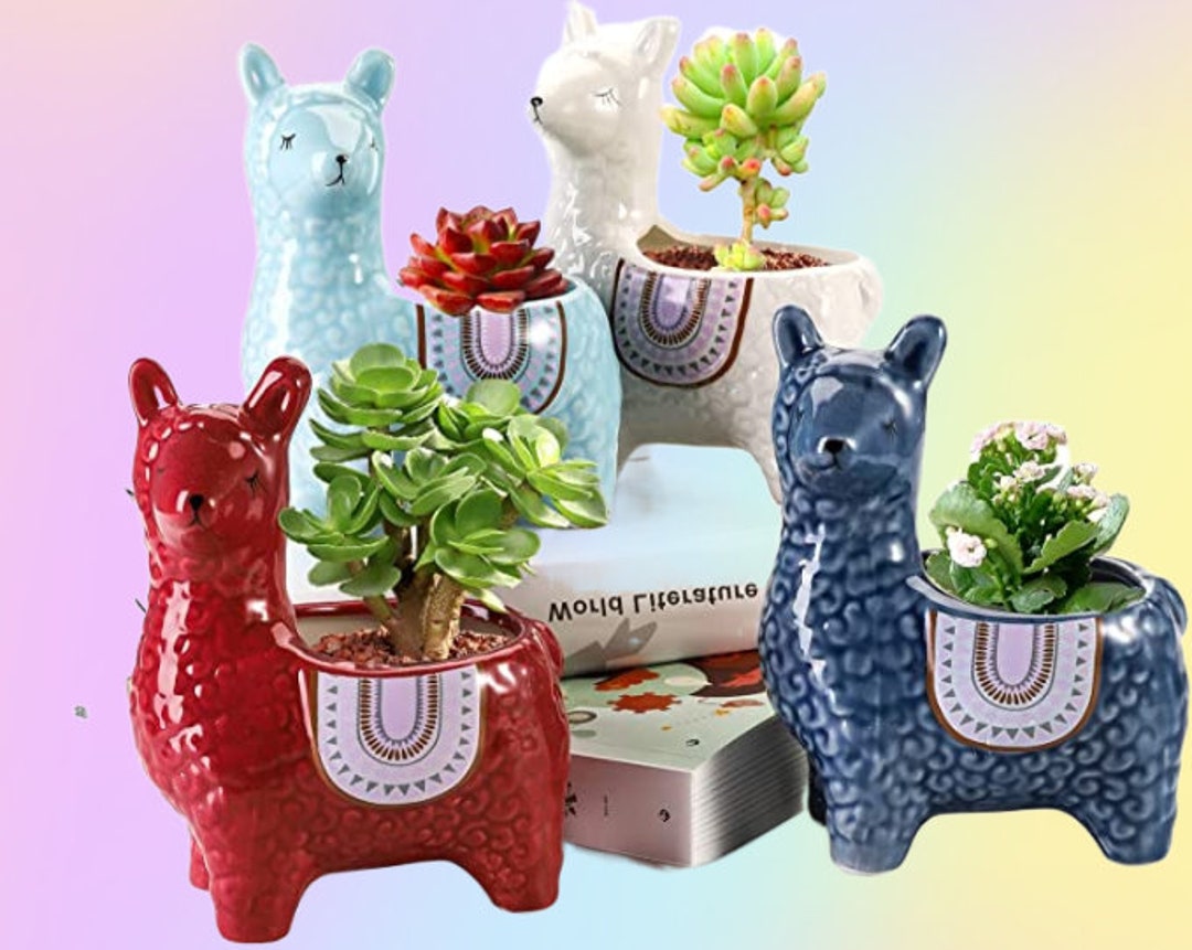 Alpaca Llama Plant Pot Animal Planter Pots Best Planter Pot Gift ...
