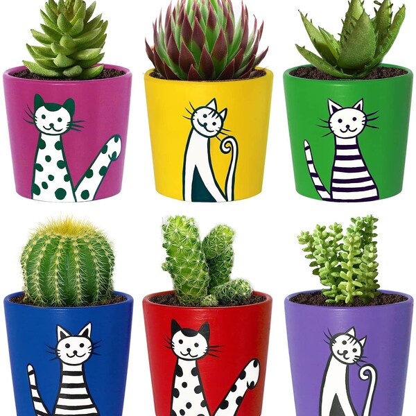 Colorful Flower Pots - Etsy