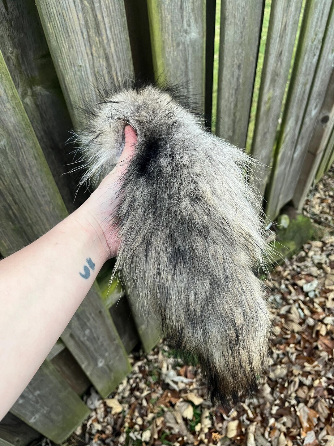 Coyote Tail - Etsy