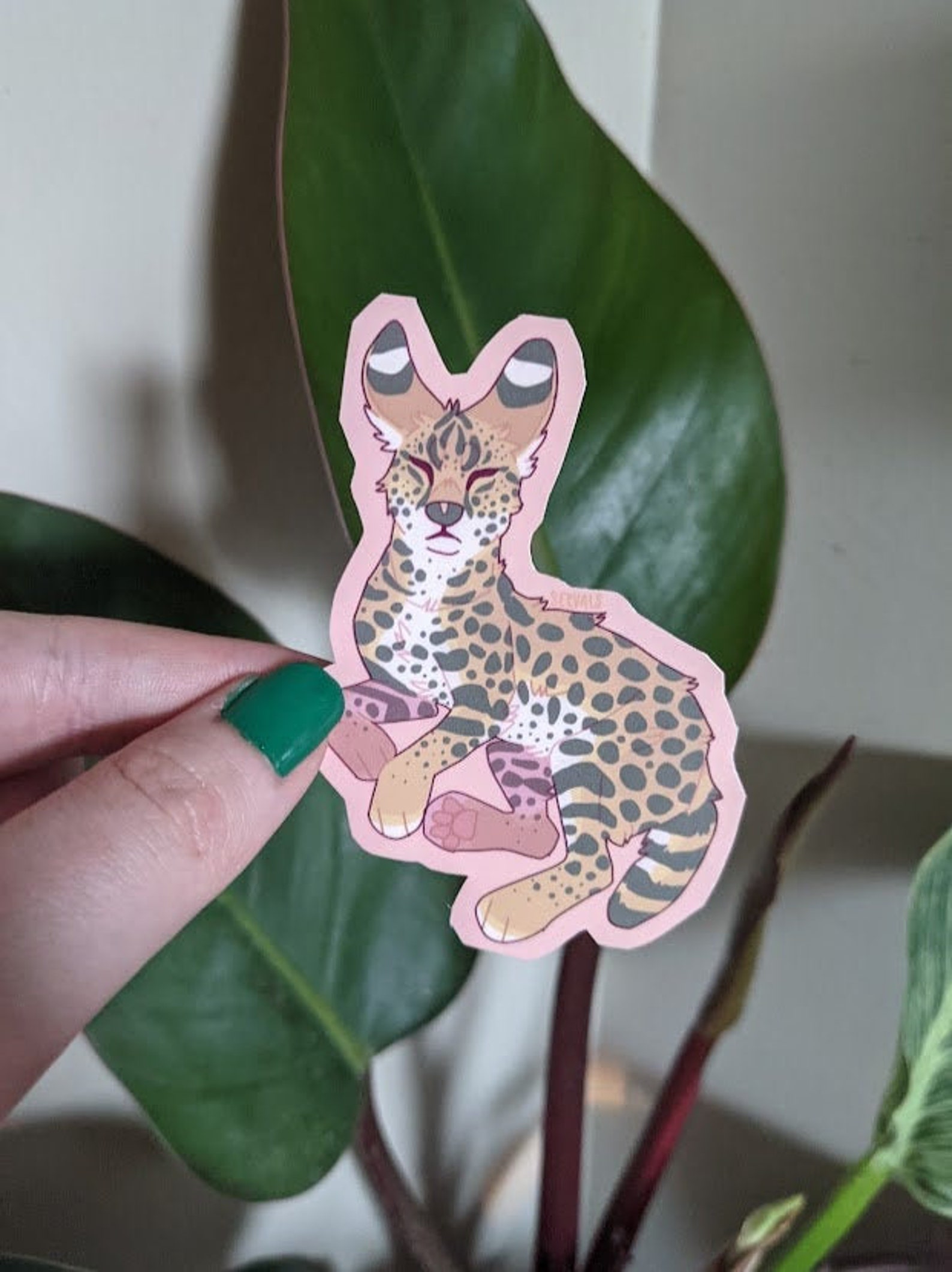 African Serval Sticker Vinyl Weatherproof Sticker - Etsy