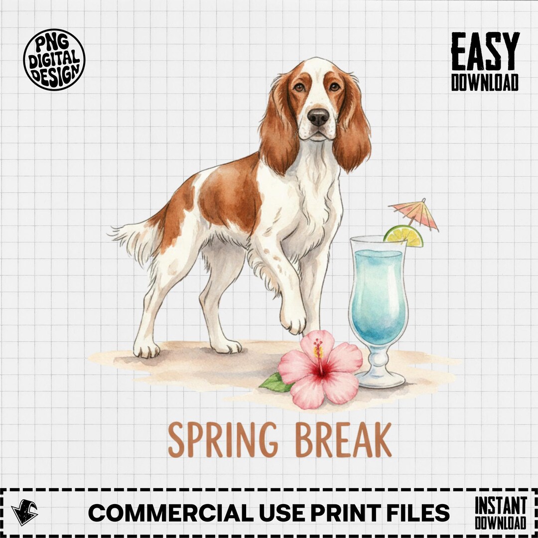 Welsh Springer Spaniel Brittany PNG, Watercolor Dog Clipart for Spring ...