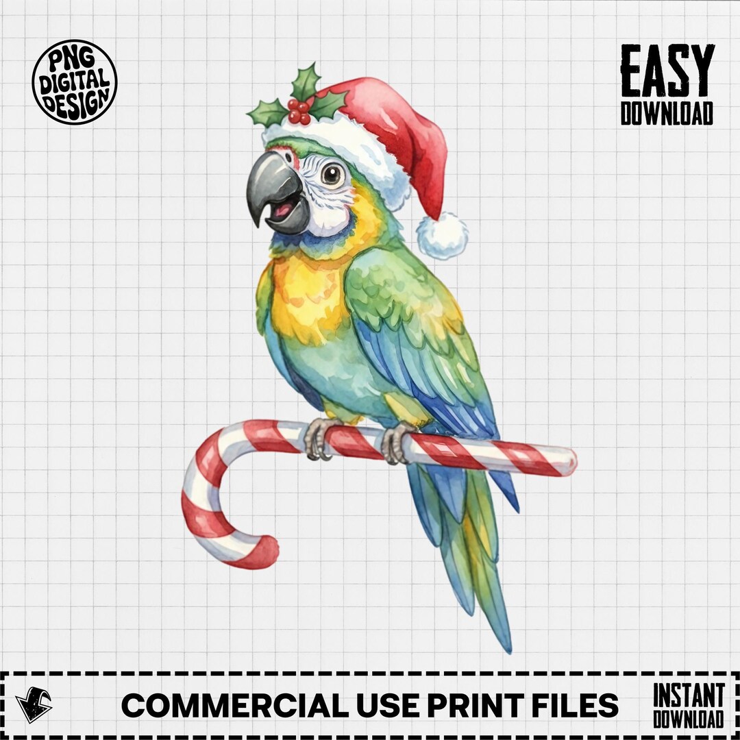 Christmas Macaw PNG, Parrot Santa Hat Clipart (digital) - Etsy