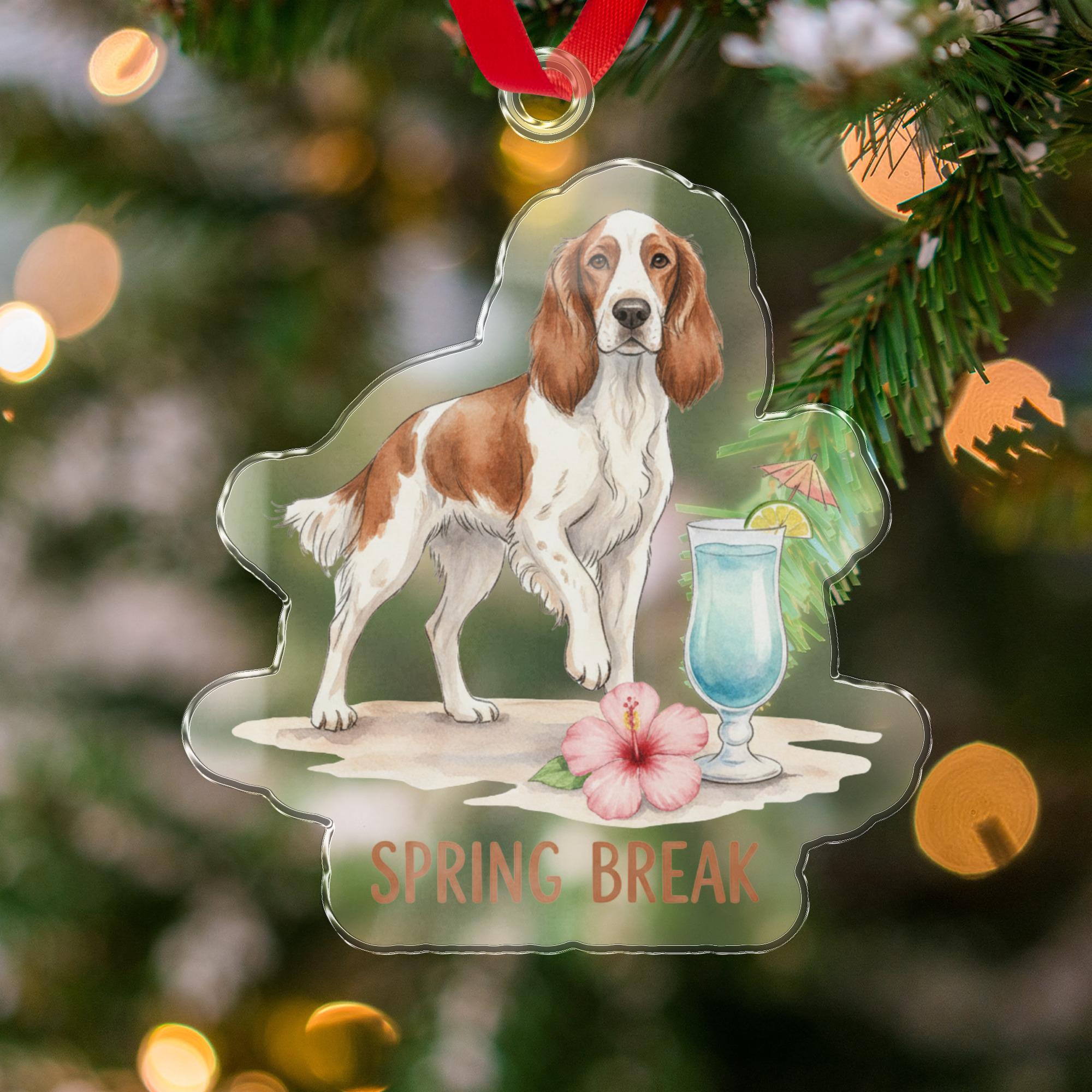 Welsh Springer Spaniel Brittany PNG, Watercolor Dog Clipart for Spring ...