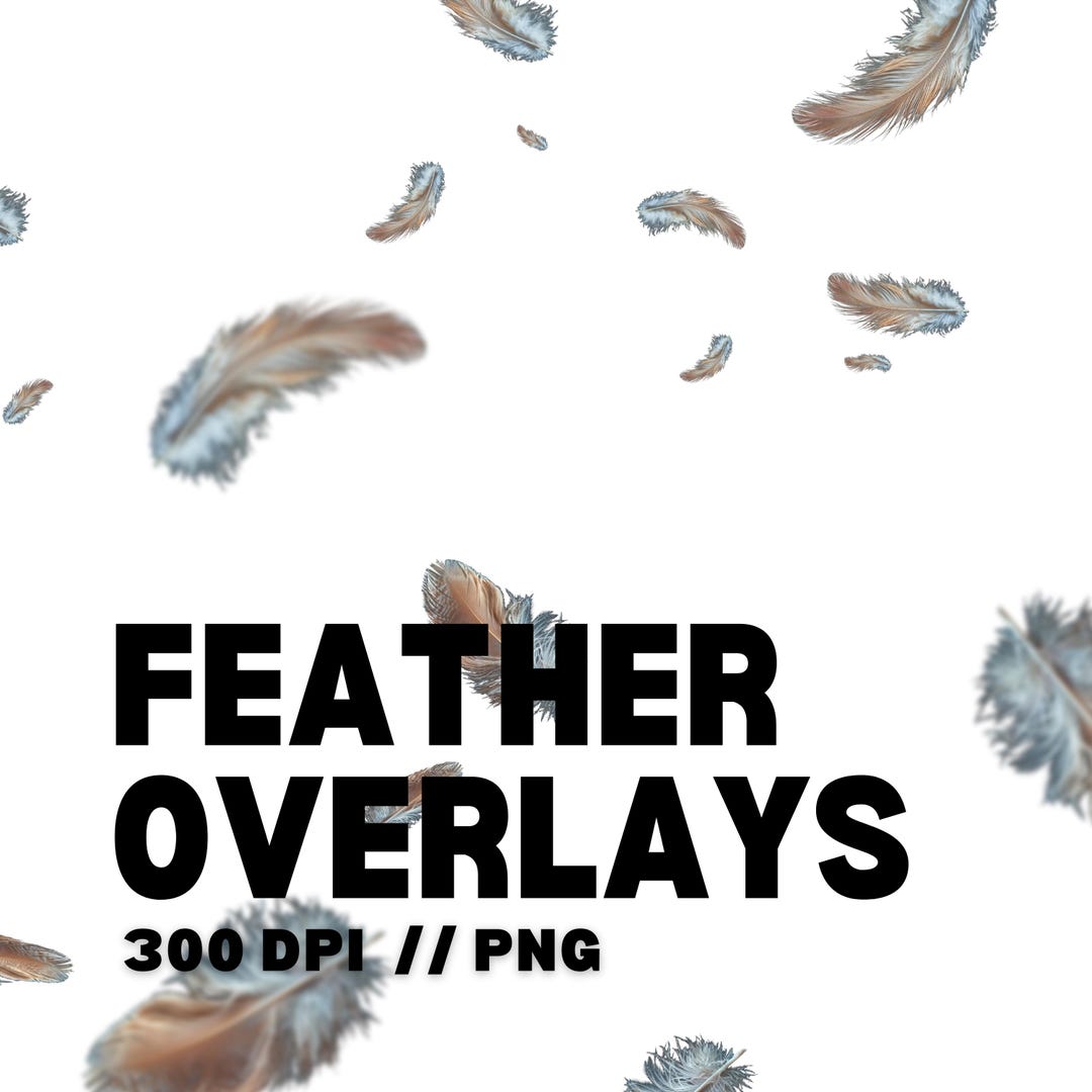 10 Feather Overlays, Feather Png, White Feather, Digital Feather ...