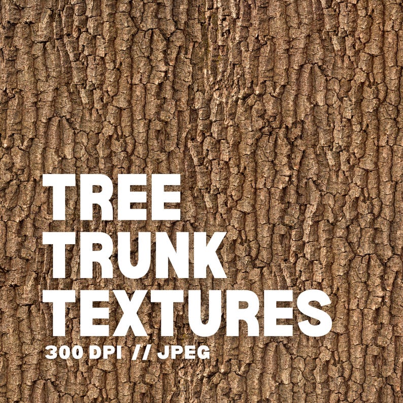 10 Tree Trunk Textures, Wood Texture, Natural Texture, Rustic ...