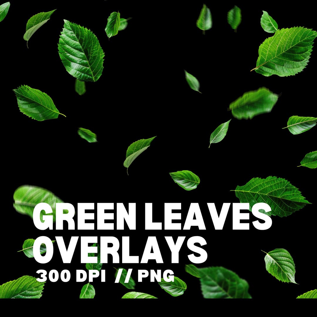 Green Leaves Overlays, Leaf Overlay, Leaves Overlay, Nature Overlay ...