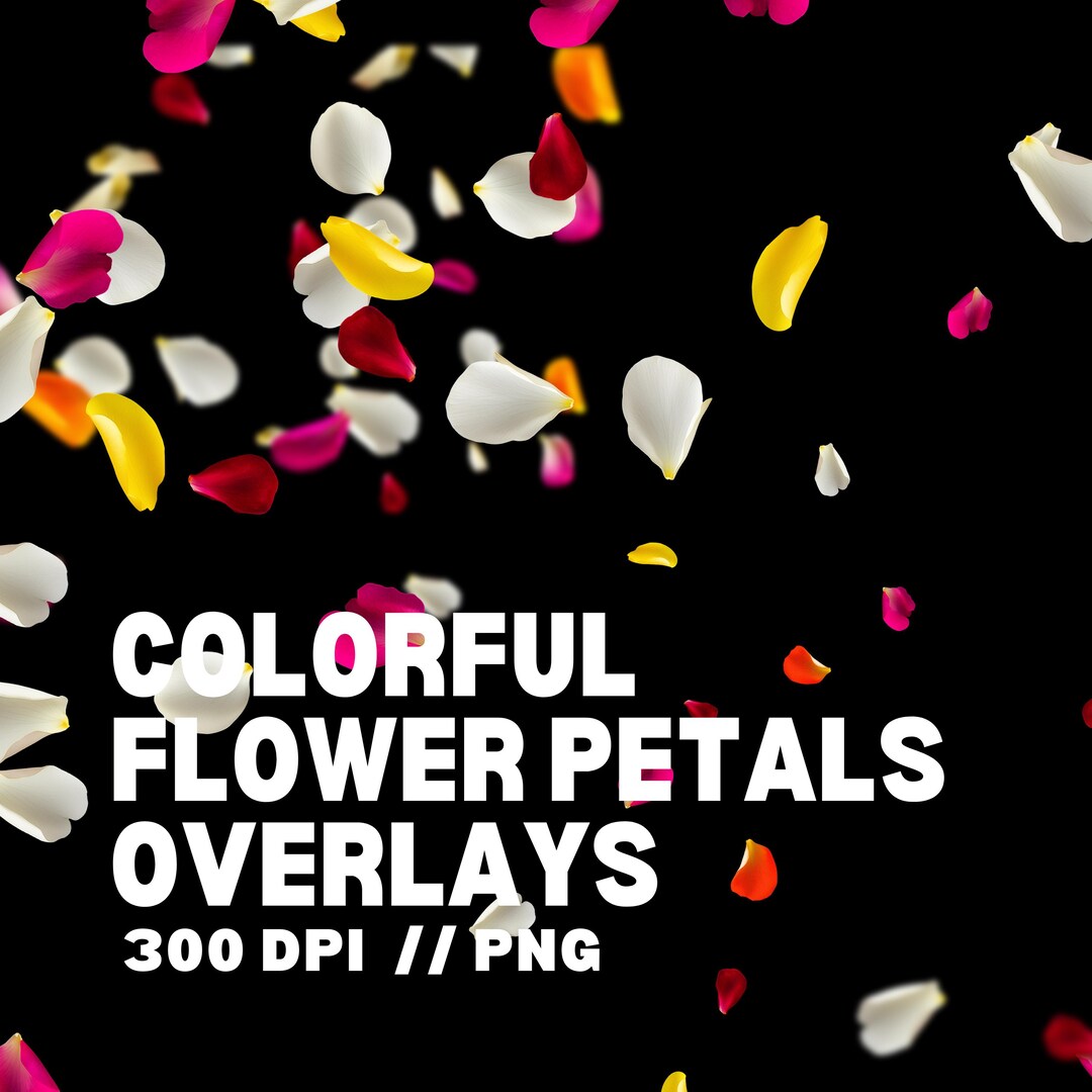 Colorful Flower Petals Overlays, Photo Overlays, Petals Overlays ...