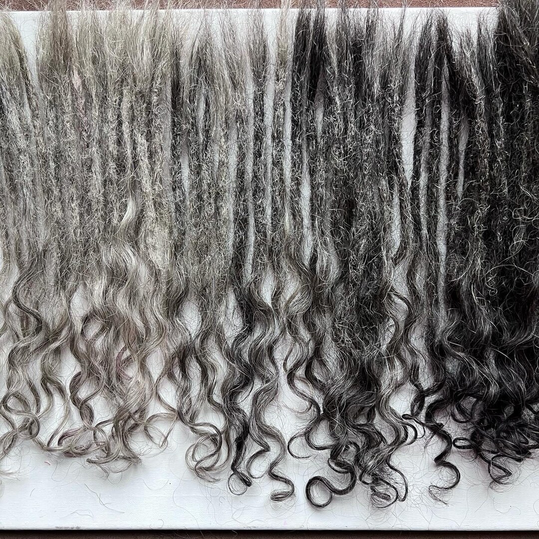 READY TO SHIP Curly Locs 63ct Natural Gray Goddess Loc Extensions 15in ...