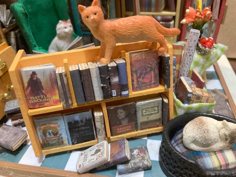 Miniature Library, Custom-made - Etsy