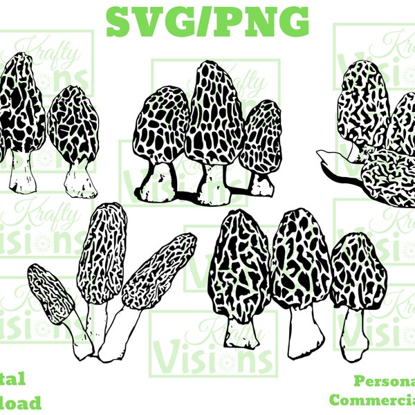 Morel Mushrooms - Etsy