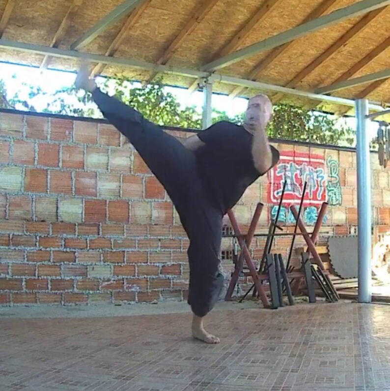 Tiger Fist lesson 19 Pain Points Animal Forms Chinese - Etsy