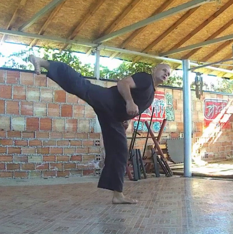 Tiger Fist lesson 19 Pain Points Animal Forms Chinese - Etsy