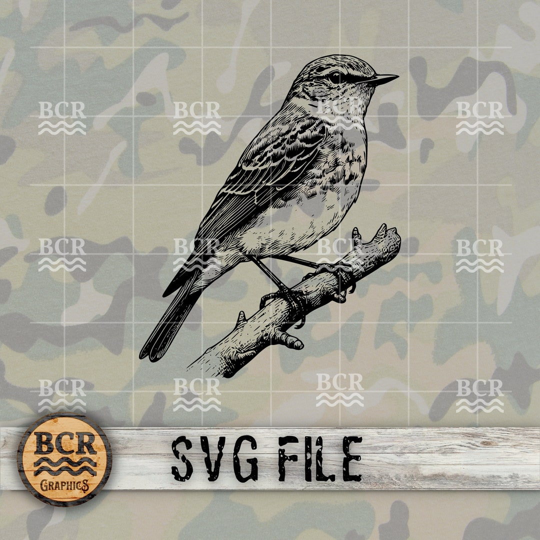 Bluebird SVG, Eastern Bluebird SVG, Bluebird Digital Download, Bluebird ...