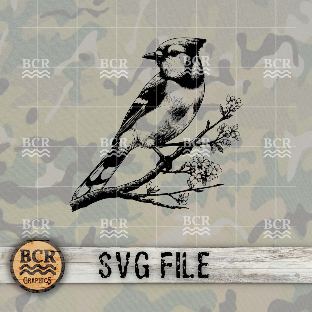 Blue Jay SVG, Bluejay SVG, Blue Jay Digital Download, Blue Jay Clipart ...