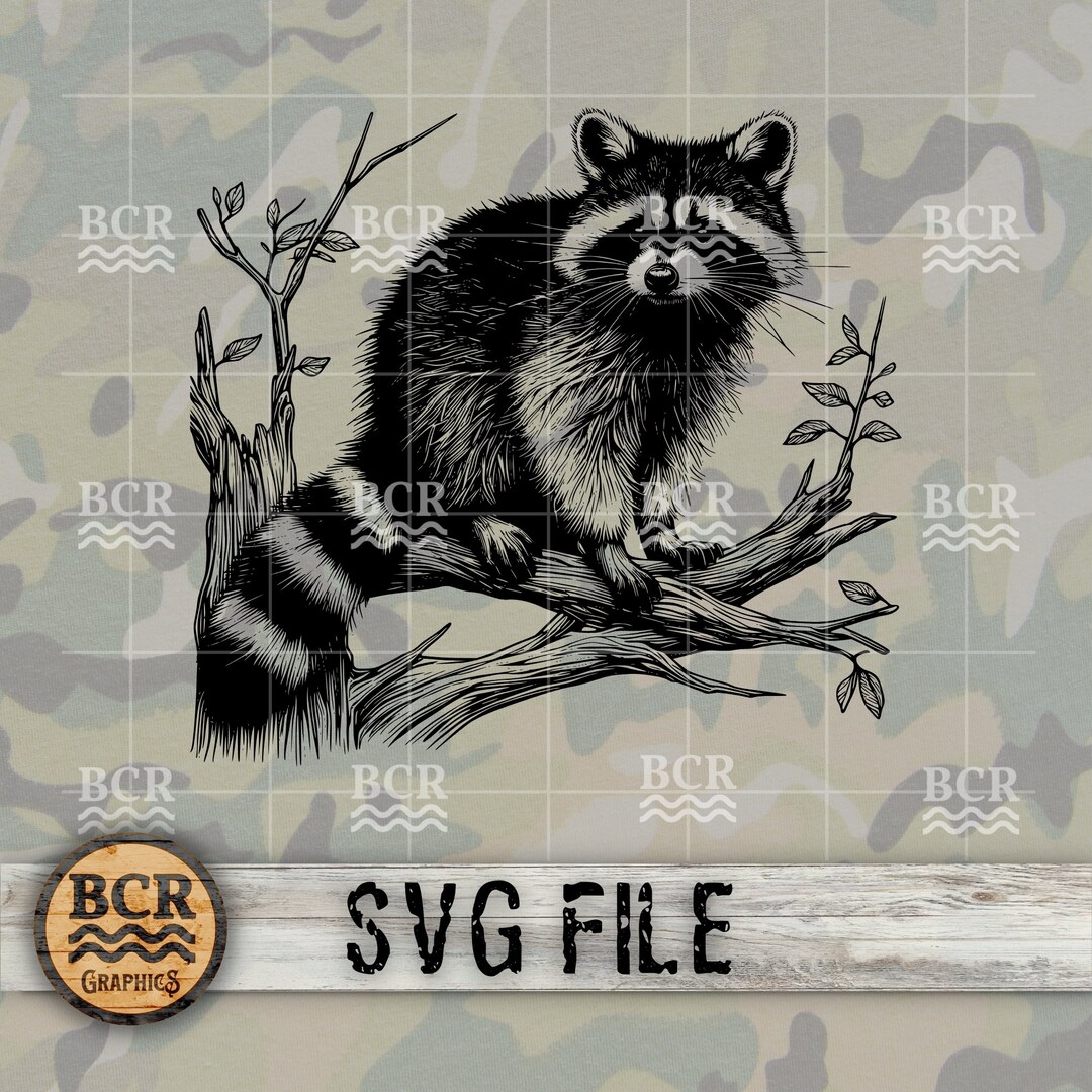 Raccoon SVG, Raccoon Digital Download, Cute Raccoon SVG, Raccoon Laser ...