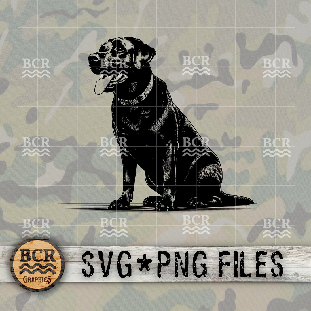 Black Lab SVG, Black Lab PNG, Labrador SVG, Black Lab Download, Black ...