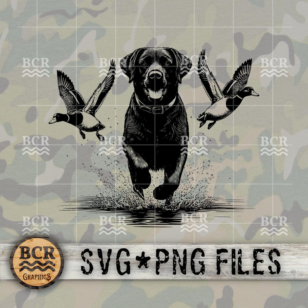 Black Lab SVG, Black Lab PNG, Labrador SVG, Black Lab Download, Black ...