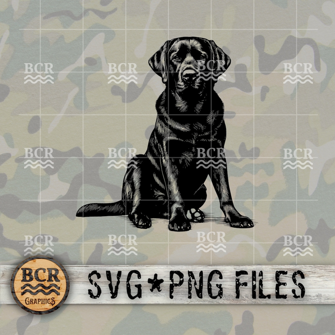 Black Lab SVG, Black Lab PNG, Labrador SVG, Black Lab Download, Black ...