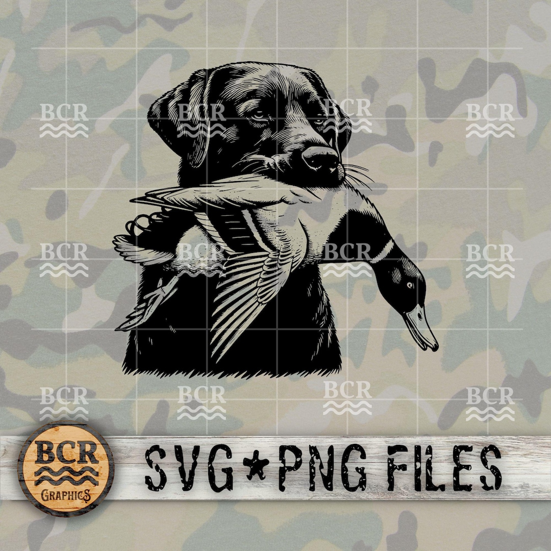 Black Lab SVG, Black Lab PNG, Labrador SVG, Hunting Dog Svg, Black Lab ...