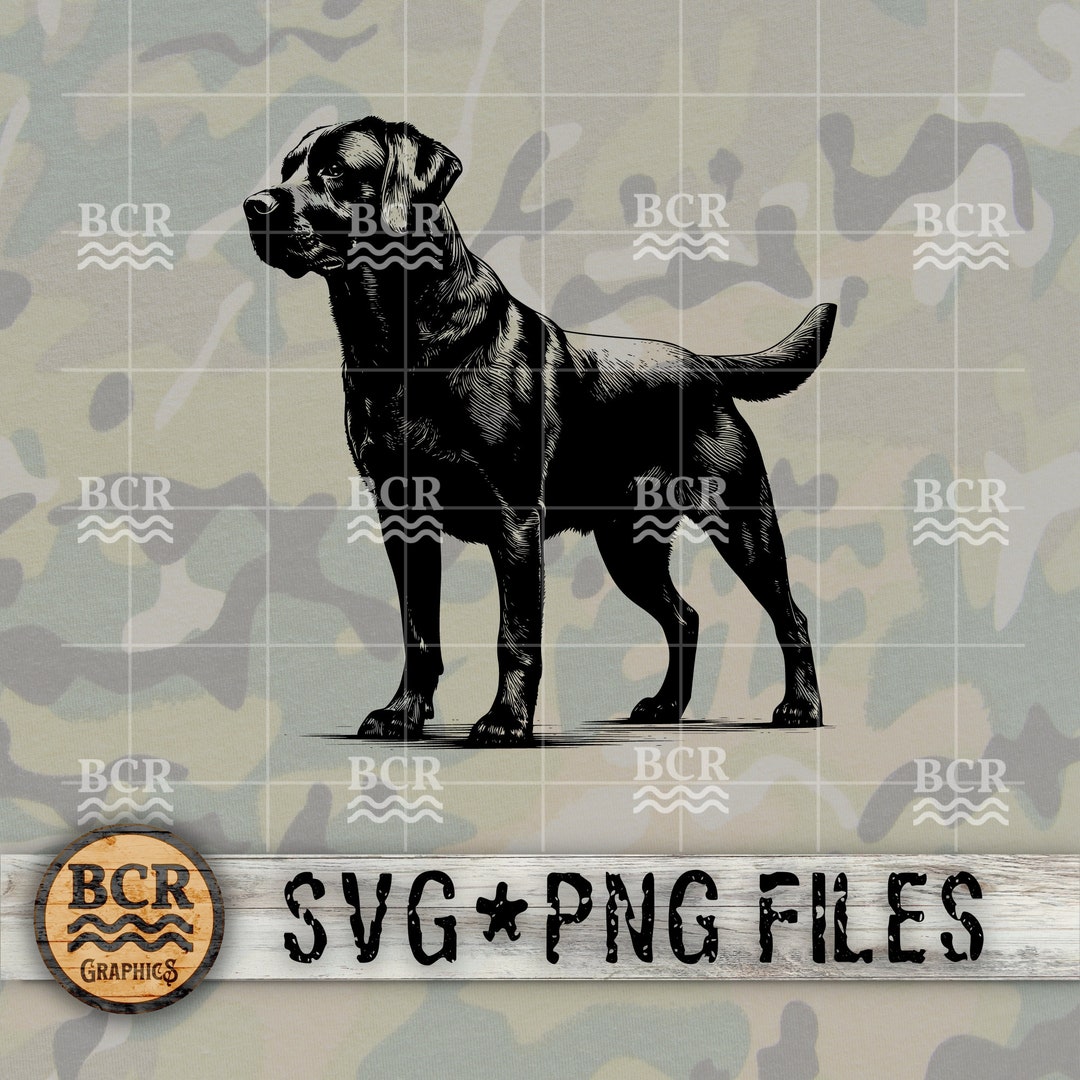 Black Lab SVG, Black Lab PNG, Labrador SVG, Black Lab Download, Black ...