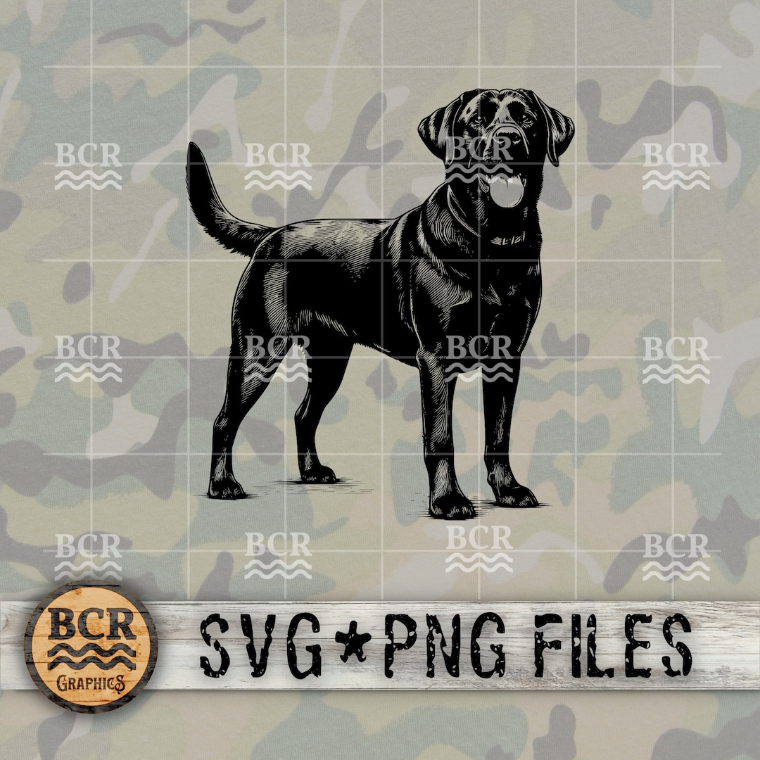 Black Lab SVG, Black Lab PNG, Labrador SVG, Black Lab Download, Black ...