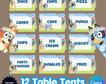 12 Editable Girl Bluey and Bingo Birthday Party Place Card, Party Decor ...