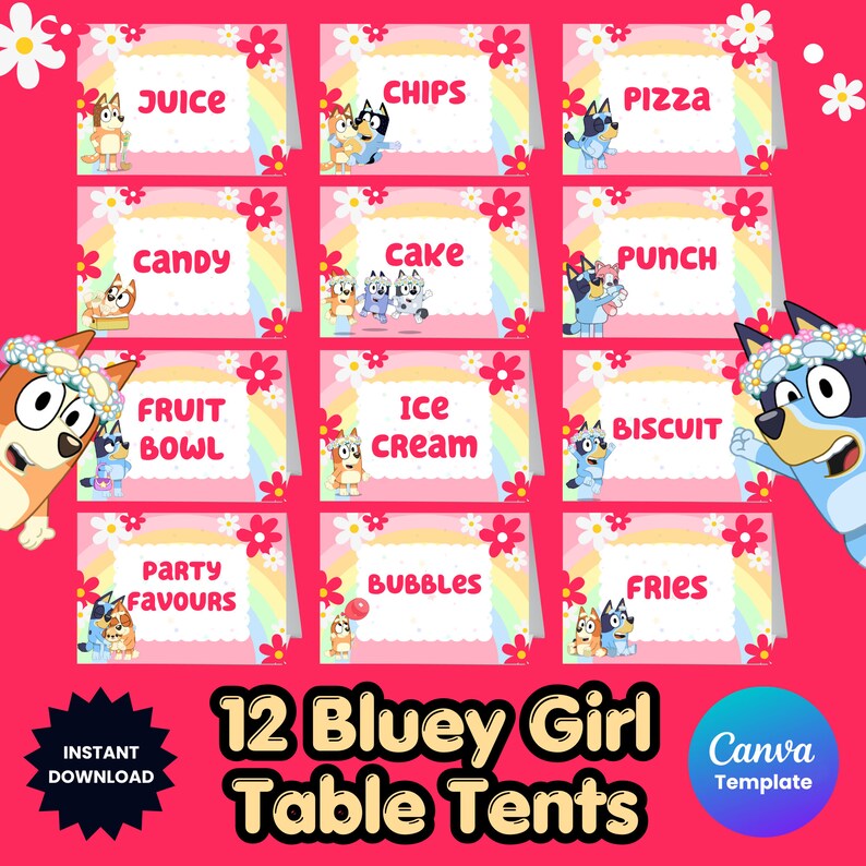 12 Editable Girl Bluey and Bingo Birthday Party Place Card, Party Decor ...