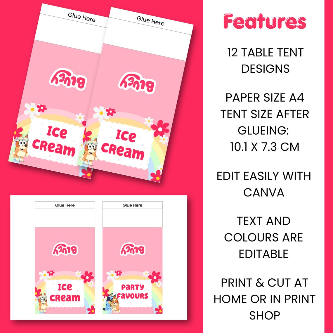 12 Editable Girl Bluey and Bingo Birthday Party Place Card, Party Decor ...