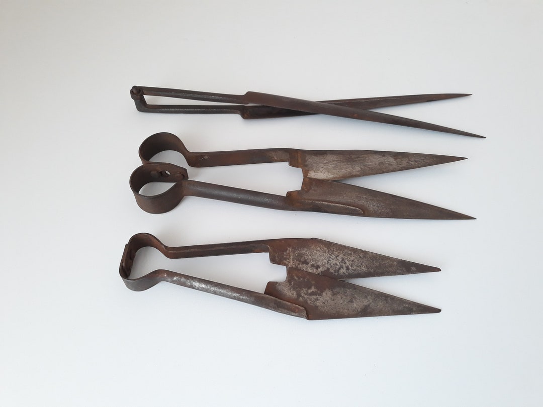 Antique Sheep Shears, Scissors, Metal Farm Shears, Industrial Farmhouse ...