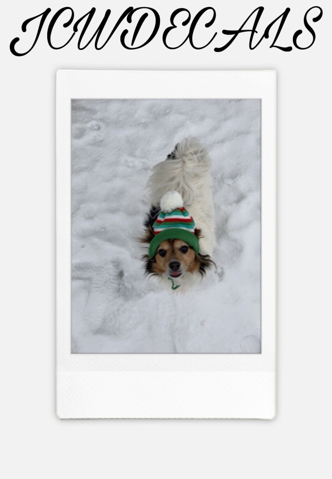 Custom Polaroid Prints! Turn Your Camera Roll Into Physical Instax ...