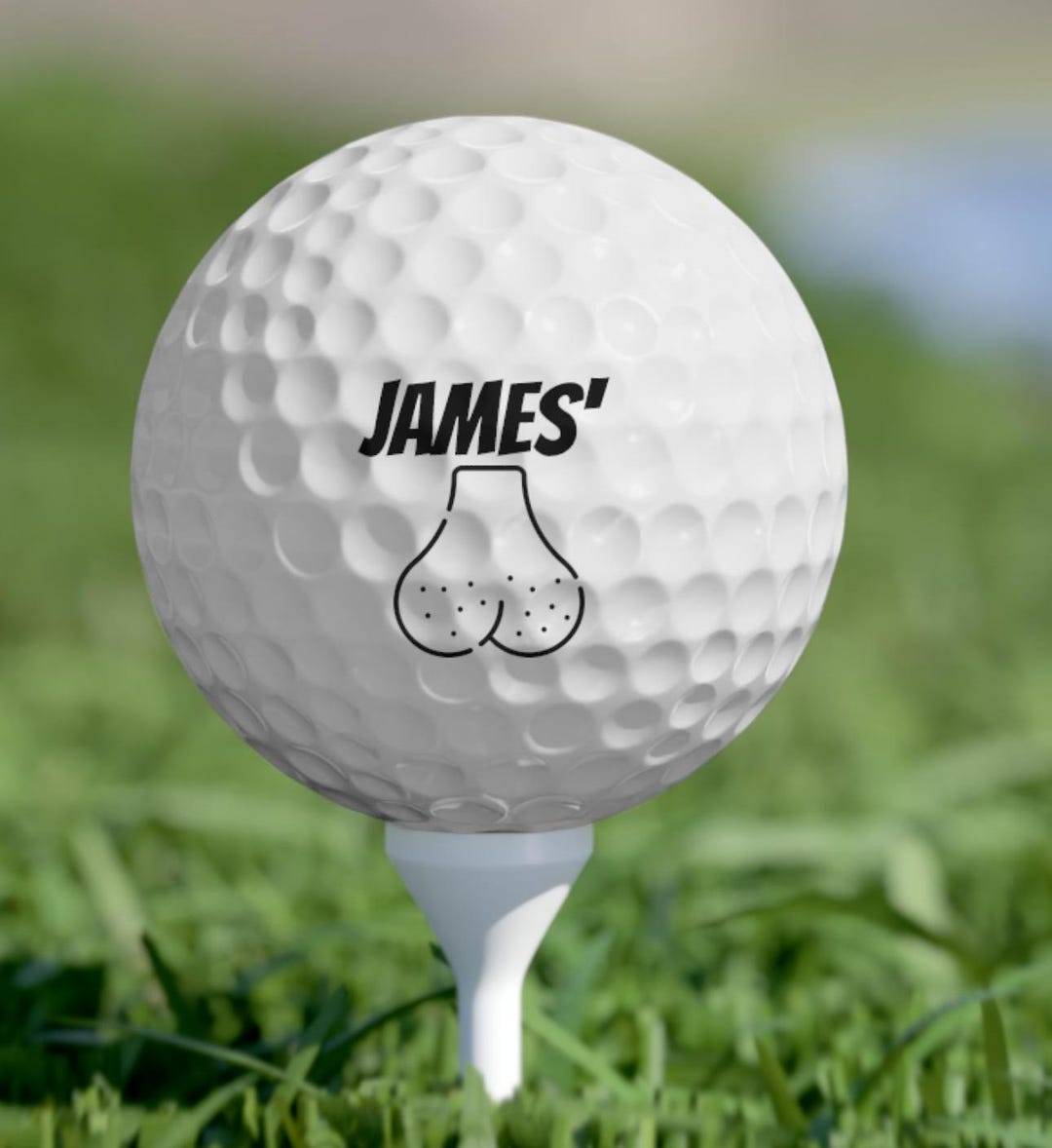 Funny Golf Balls, Gag Gift Holiday Personalized Golf Balls, Custom Golf ...