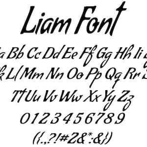 Liam Font - Modern Handwritten Font for Signatures - TTF / OTF, Cricut ...