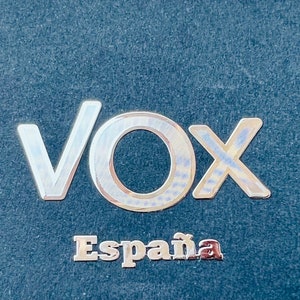 10 VOX Spain Metallic Logo Stickers Silver Car Laptop Personalised ...