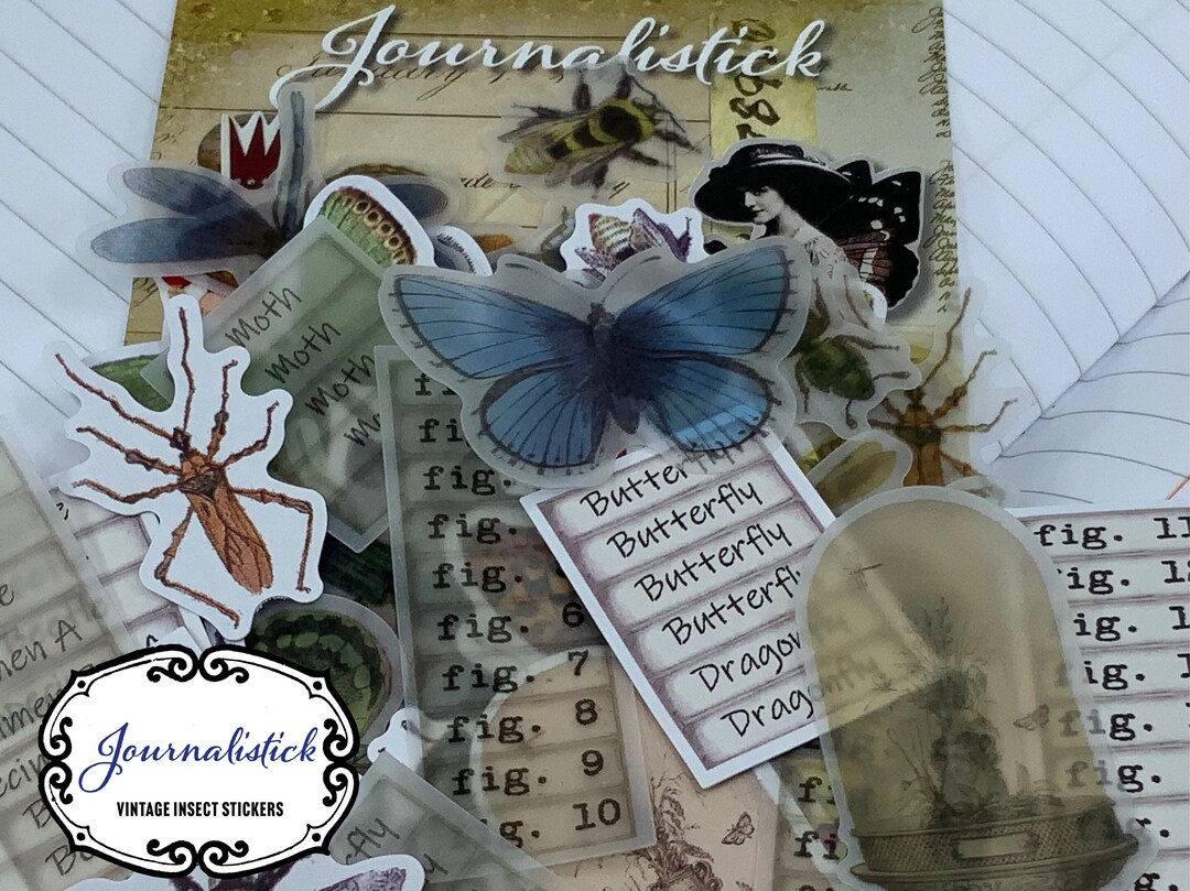 Vintage Insect World Sticker Collection, Bugs and Bees Ephemera ...