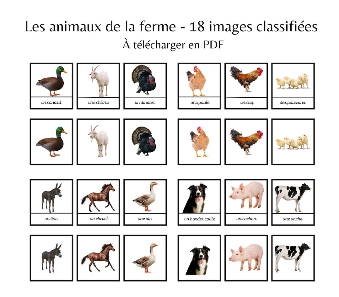 18 Montessori Farm Animals Cards - Montessori Cards - Farm Animals ...