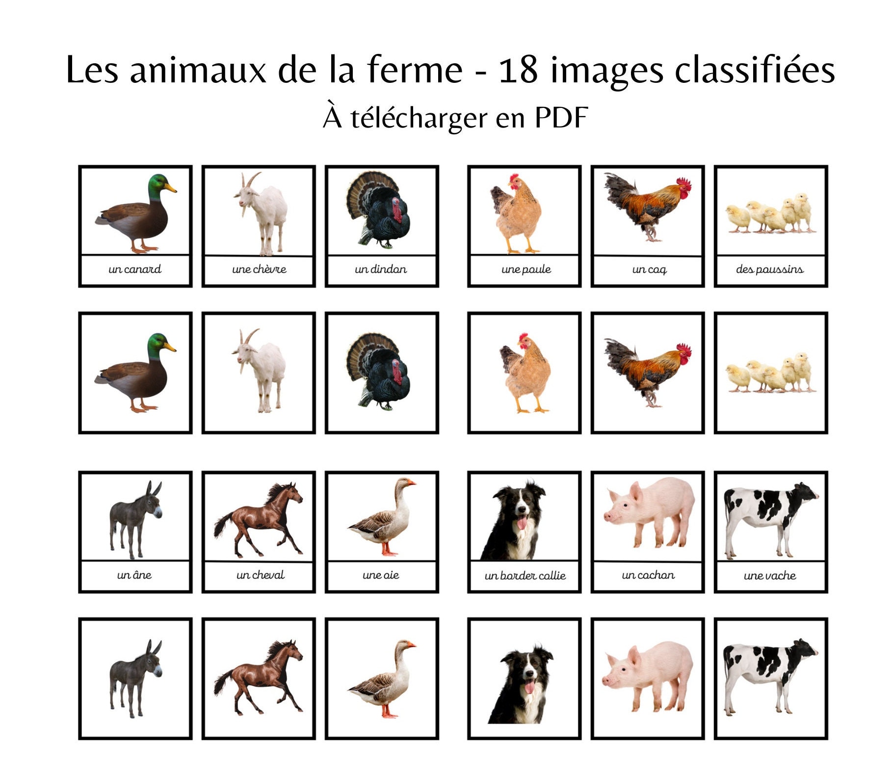 18 Montessori Farm Animals Cards - Montessori Cards - Farm Animals ...