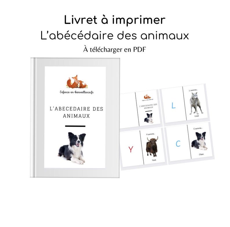 Printable Booklet - Animal Abcs With Real Photos - Etsy Australia