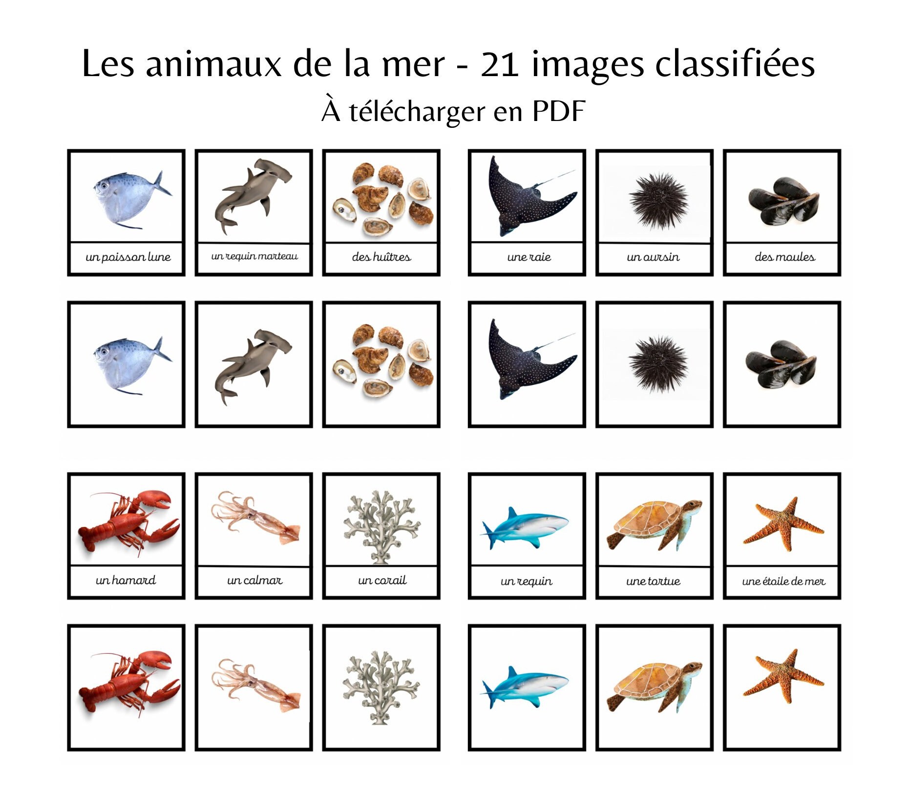 21 cartes Montessori - Les animaux marins - Images classifiées ...