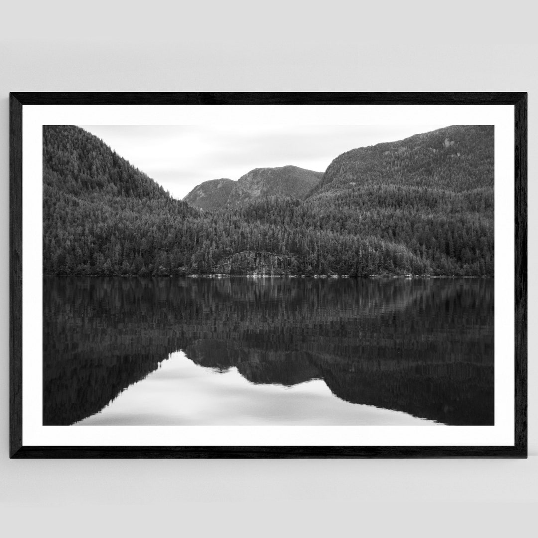 Great Bear Rainforest, Roscoe Inlet, British Columbia, Fine Art ...