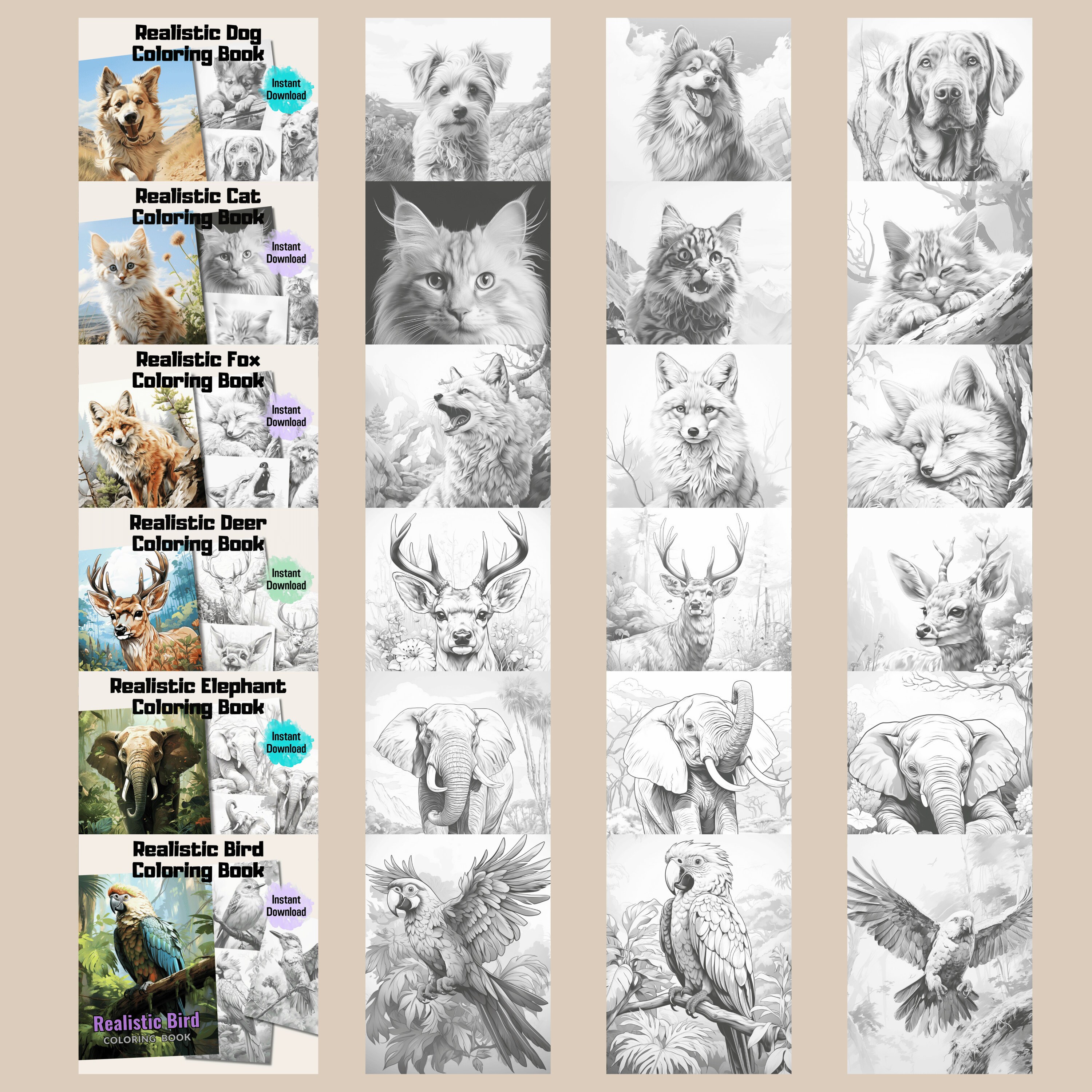 Realistic Animals Coloring Book Bundle, 400 Coloring Pages Bundle 10 ...