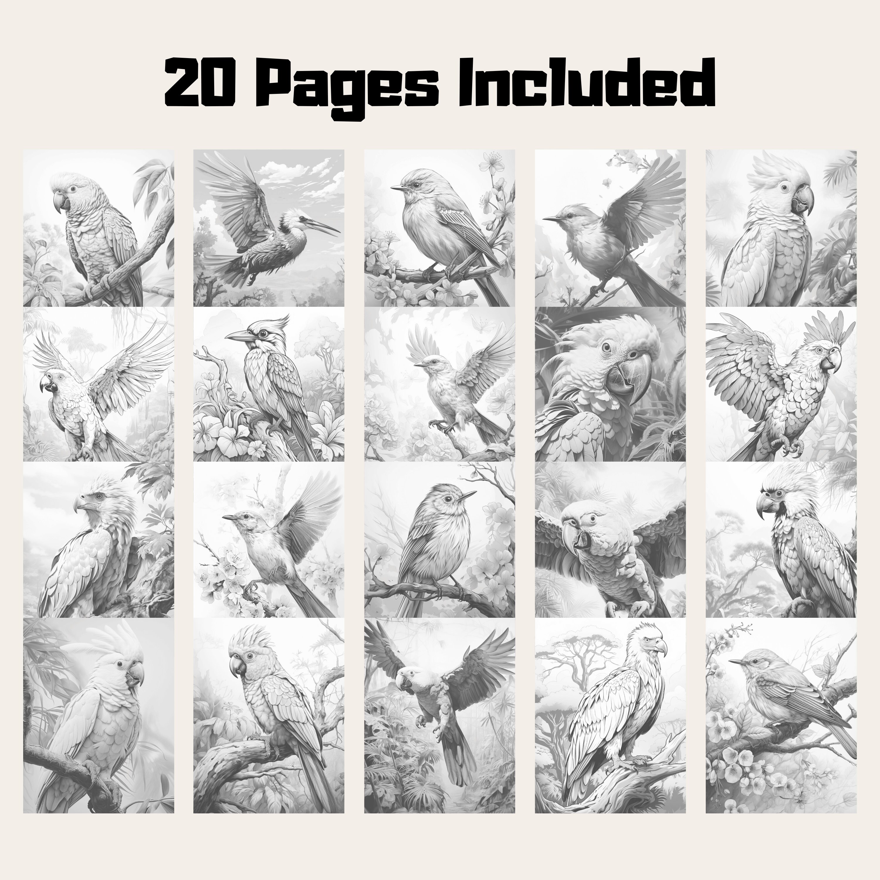 20 Realistic Bird Coloring Book, 20 Detailed Design Bird Grayscale ...
